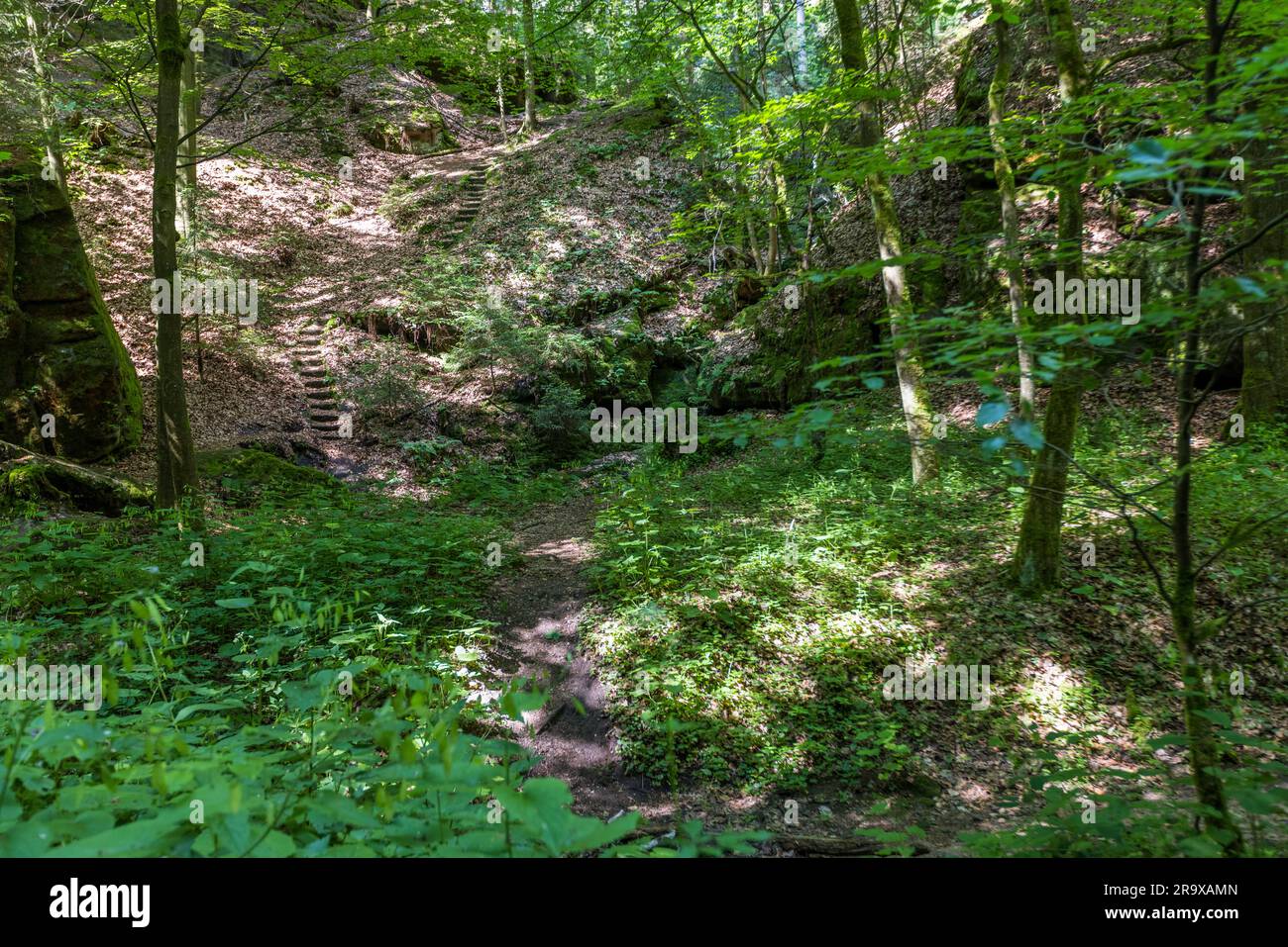 Northern temperate regions hi-res stock photography and images - Alamy