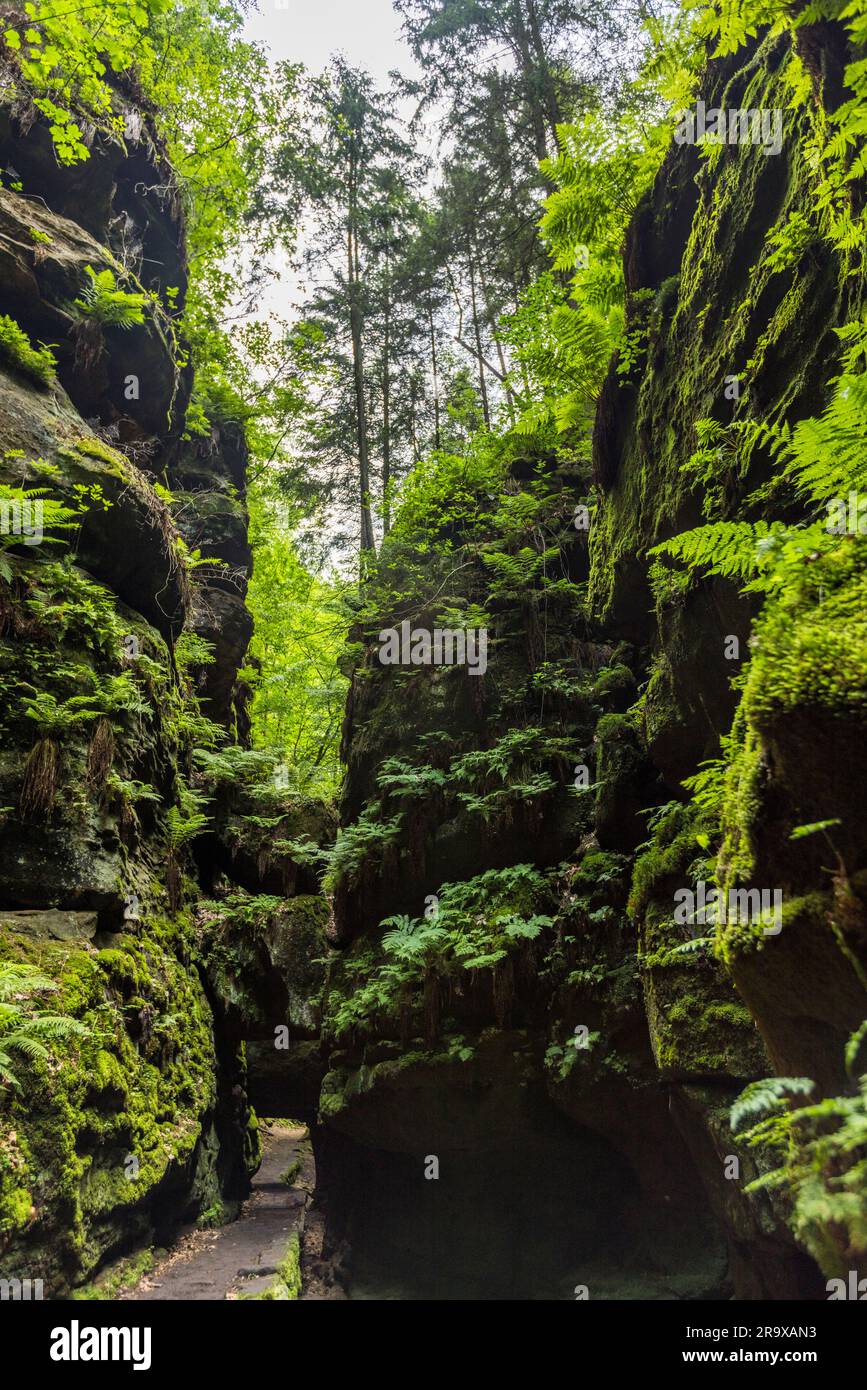 Grund gate hi-res stock photography and images - Alamy