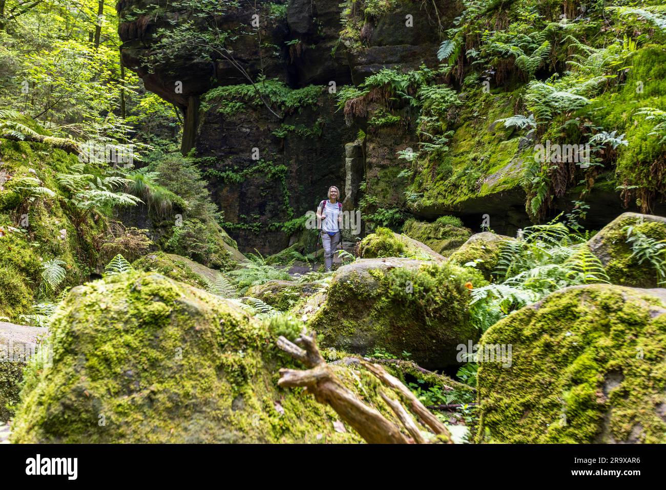 Schleifgrund hi-res stock photography and images - Alamy