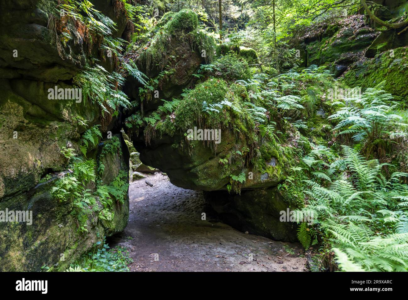 Schleifgrund hi-res stock photography and images - Alamy