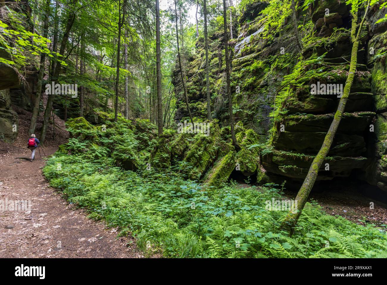 Utterwalder grund hi-res stock photography and images - Alamy