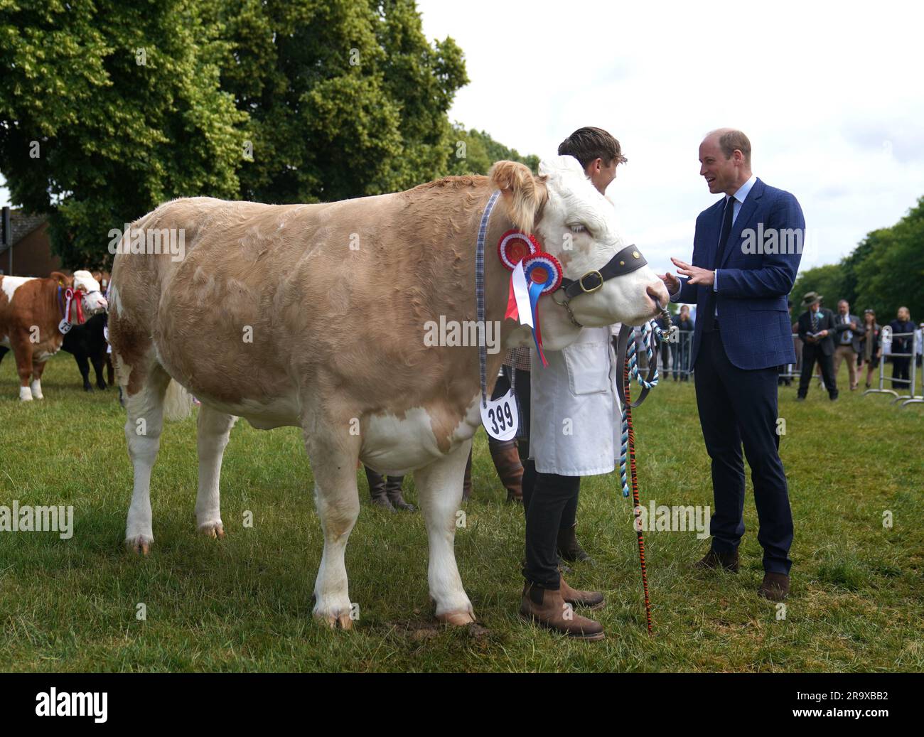 The Prince of Wales hands out awards to cattle handlers as he attends ...