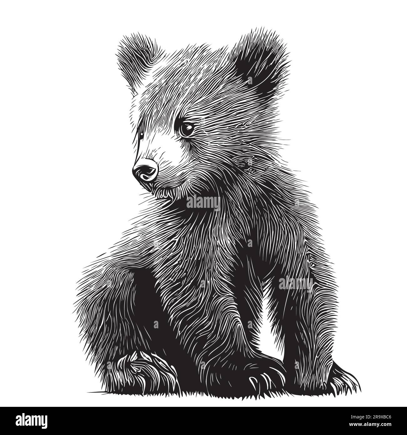 Black grizzly bear cub Stock Vector Images - Alamy