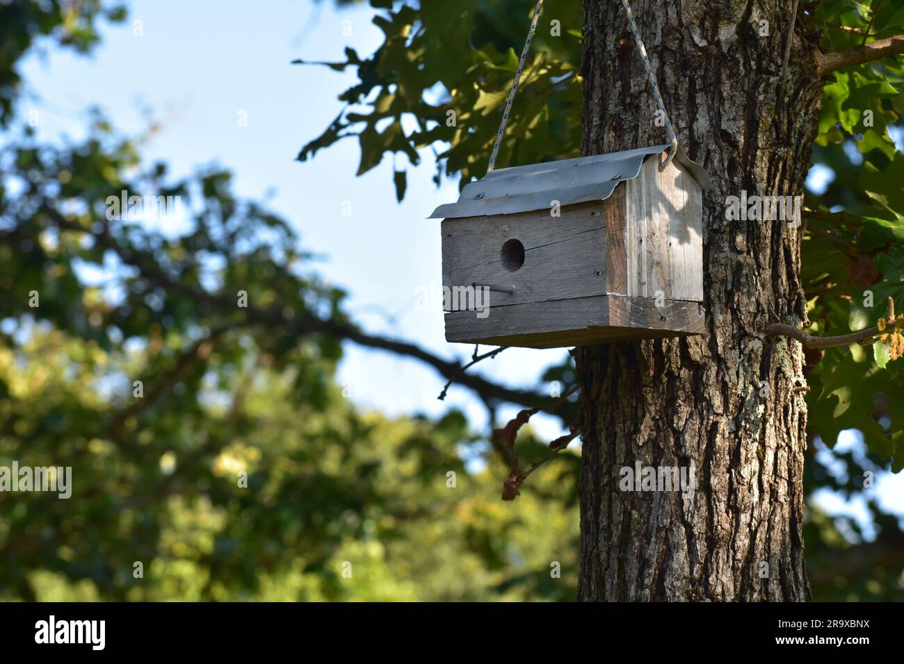 A small, hand-crafted wooden bird house, intended for use by chickadees ...