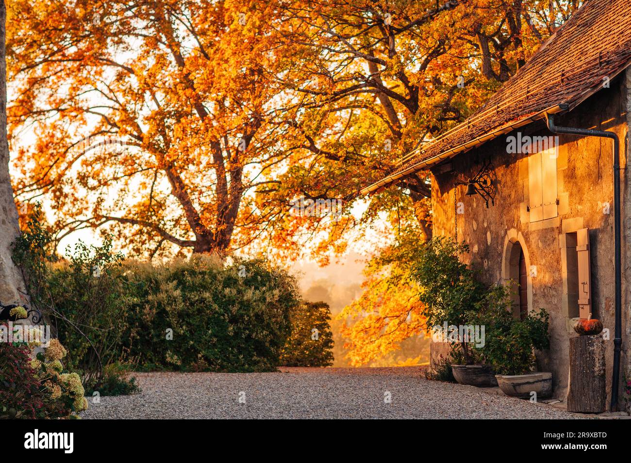 Fall sunset, magic golden light over old small cosy house Stock Photo ...