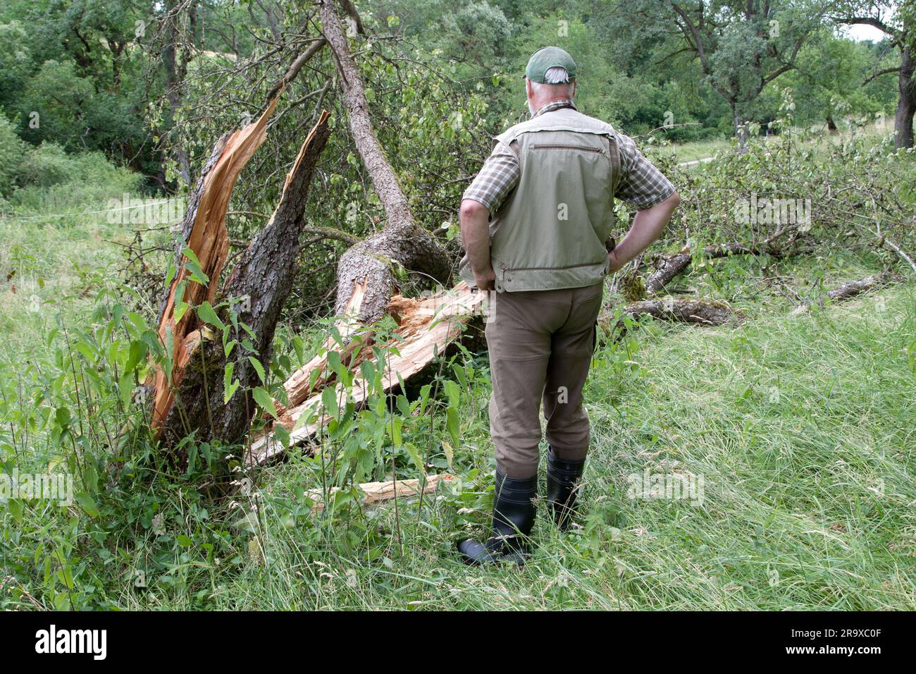 Farmer looks at the damage after the storm. The blustery winds have ...