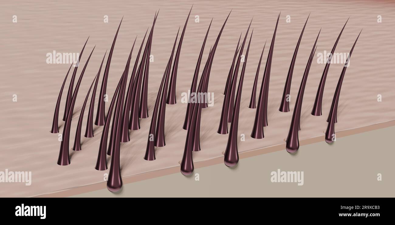 Healthy Hair Under Microscope