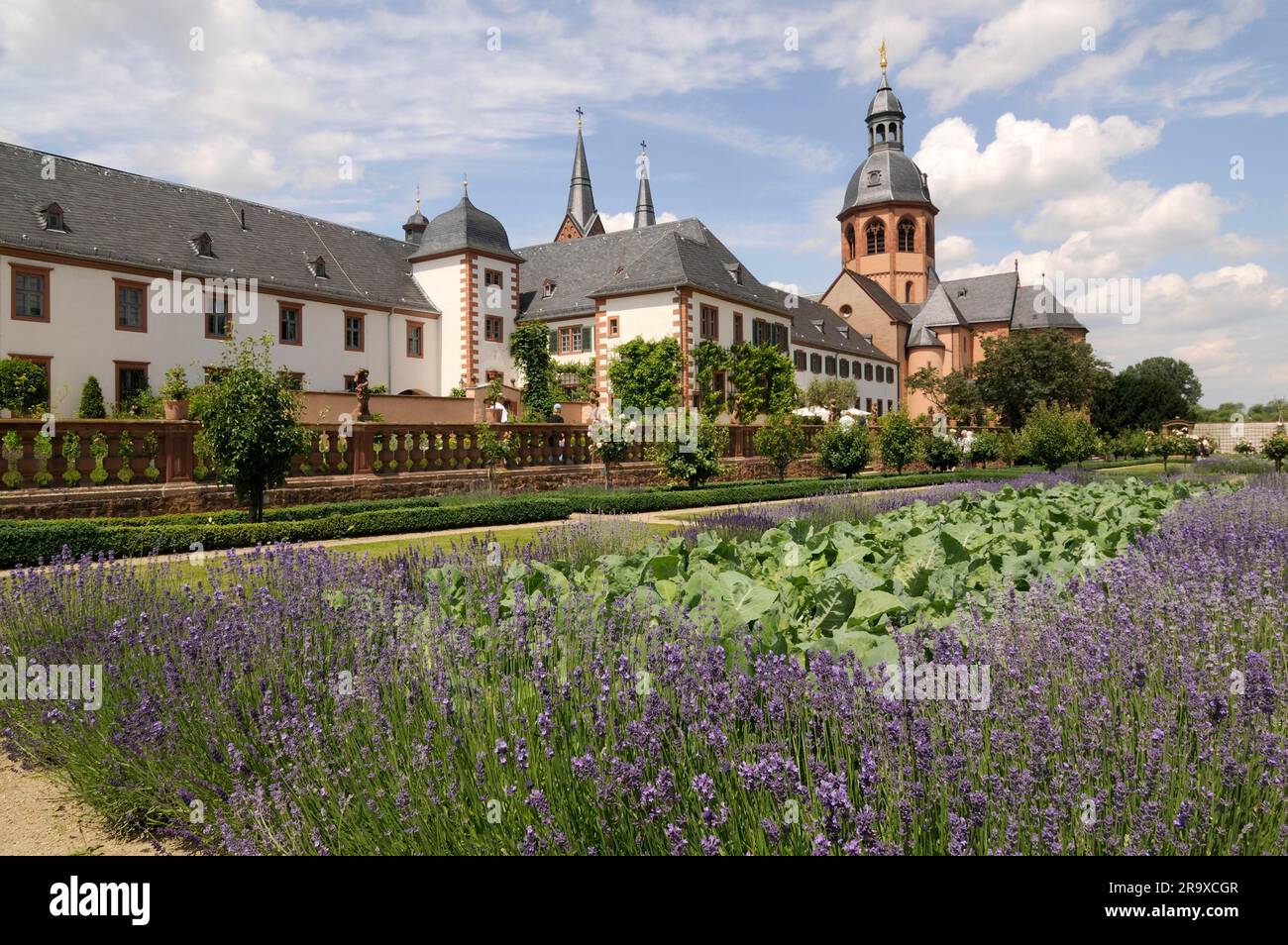 Vegetable patch, monastery garden, former Benedictine abbey ...