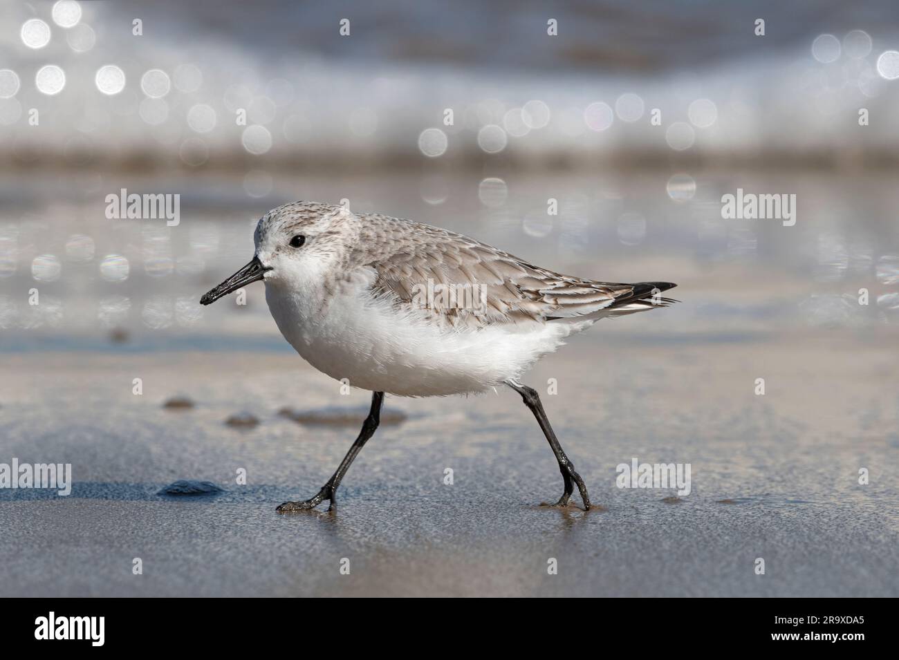 Non running hi-res stock photography and images - Alamy