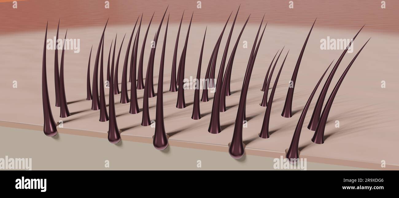 Healthy Hair Under Microscope