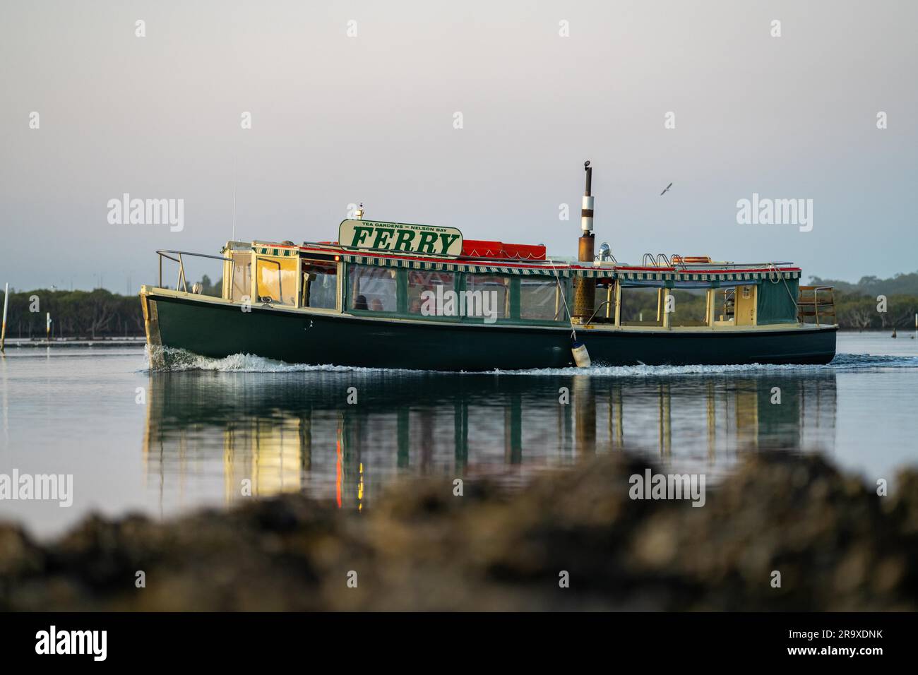 wooden ferry boat on a river crossing at sunset in australia at dusk ...