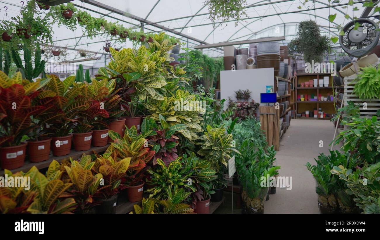 Tracking Shot of Gardening Supply Store, Flower Shop Interior in ...
