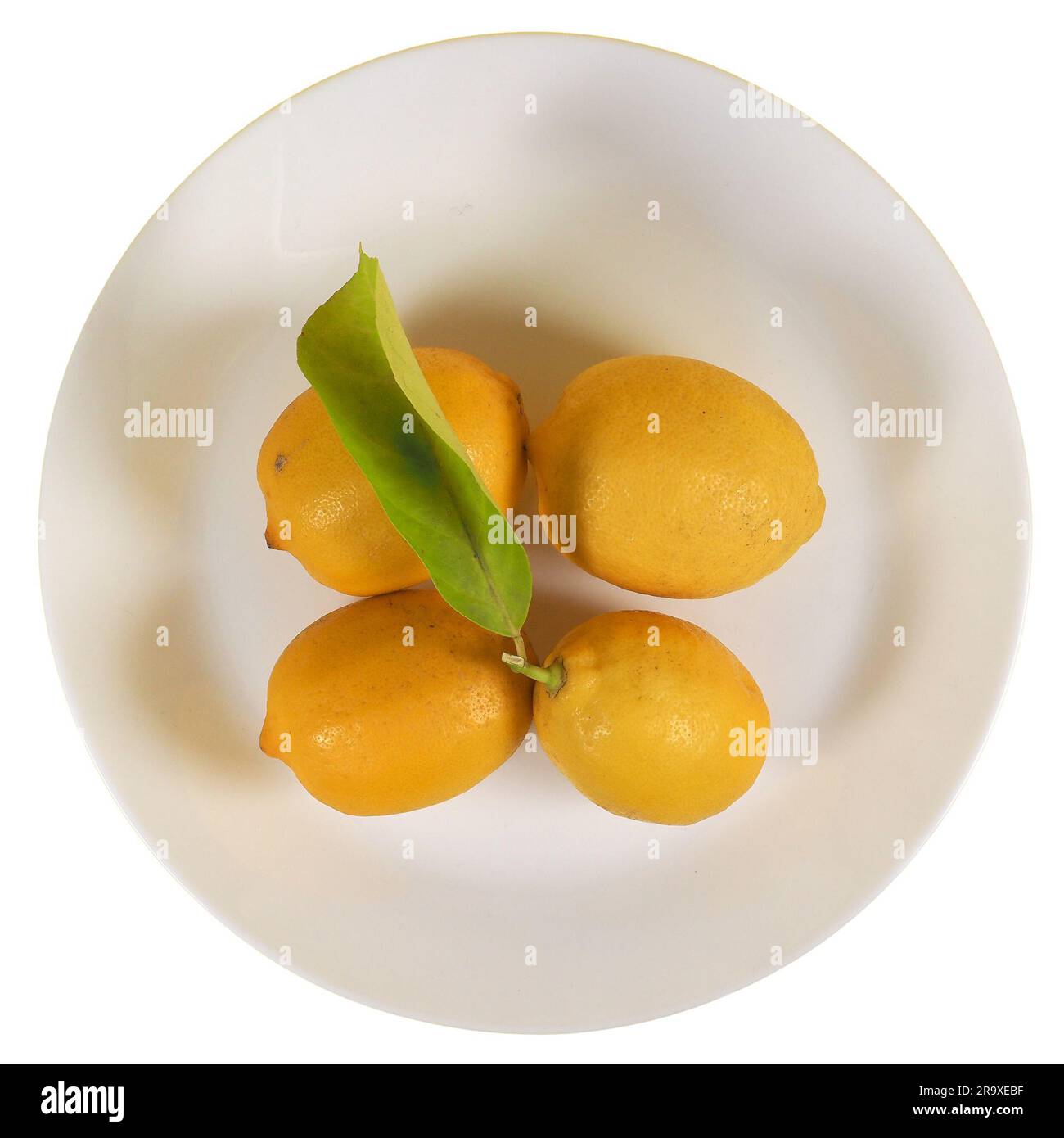 four lemons in a dish isolated over white background Stock Photo - Alamy