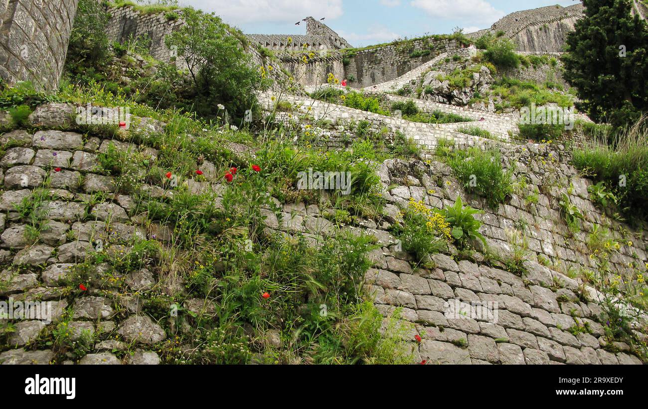walls of Castle Of San Giovanni in Kotor city Stock Photo - Alamy