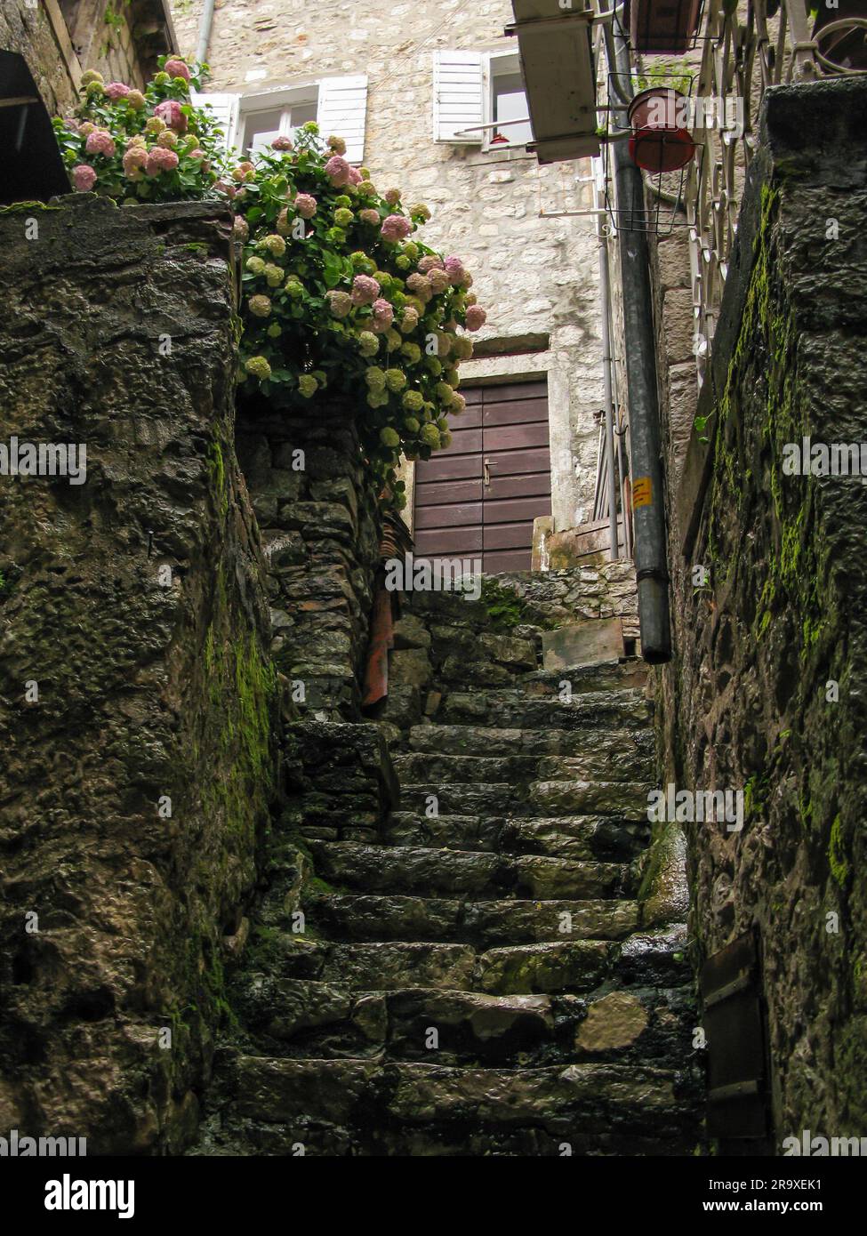 a moss-covered narrow street with steep steps in the old medieval city ...