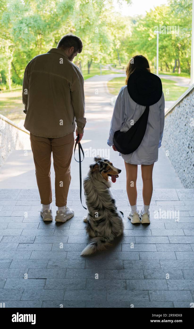 Two people with a dog on the leash outdoors, backs to camera. Walking ...