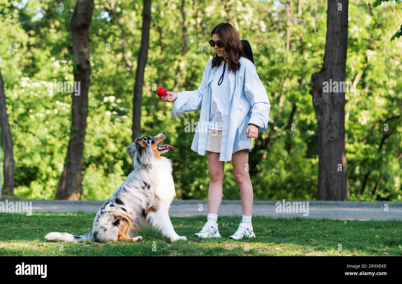 Young woman training her aussie shepherd dog in green park. Active ...