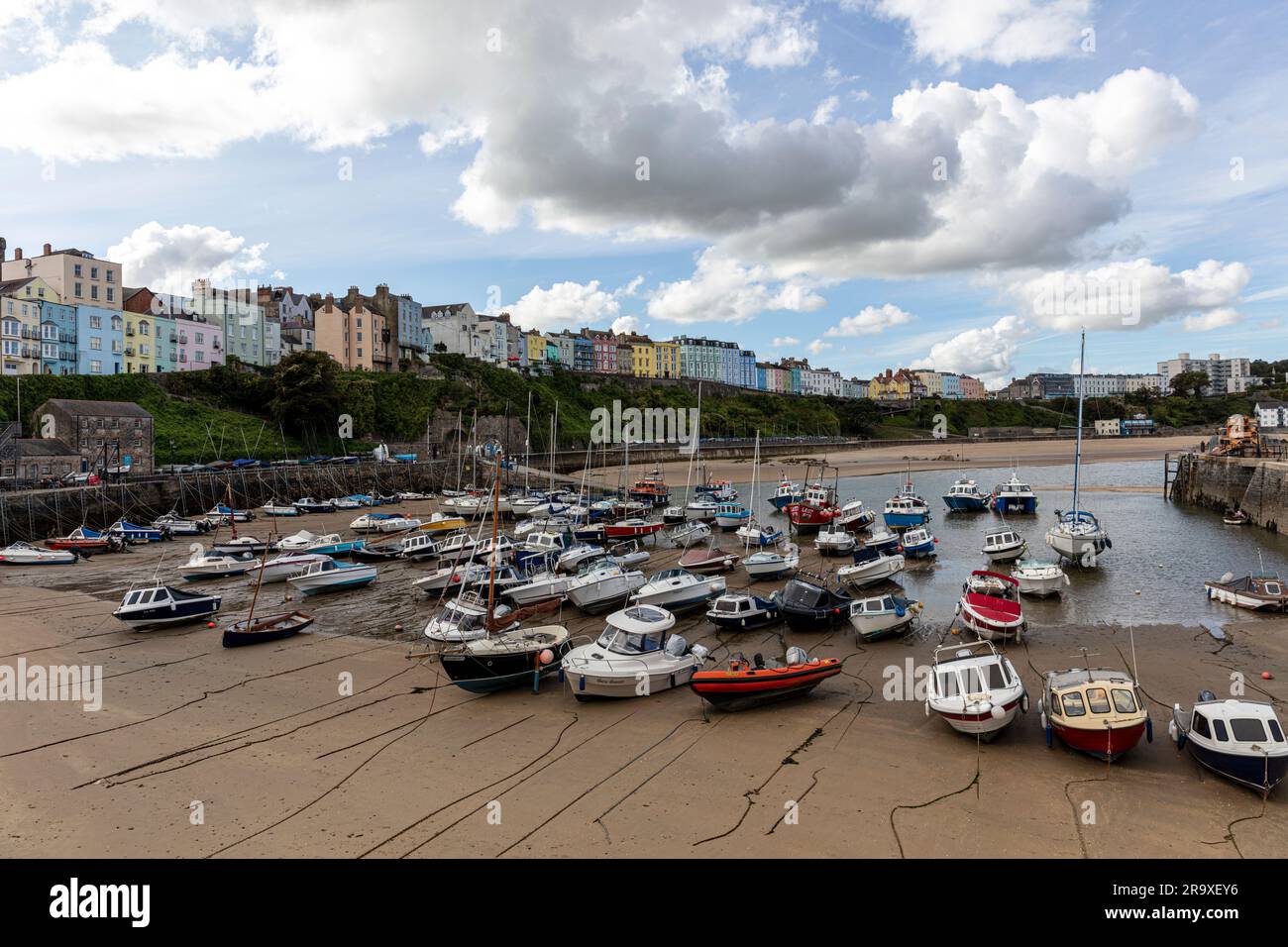 Tenby harbour and town houses overlooking, Tenby, Pembrokeshire, Wales ...