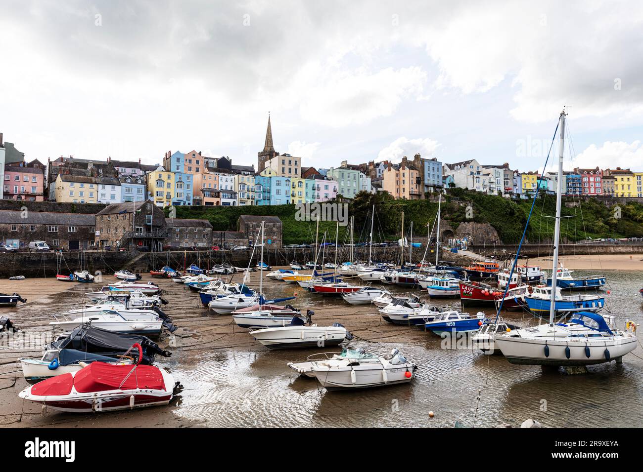 Tenby harbour and town houses overlooking, Tenby, Pembrokeshire, Wales ...