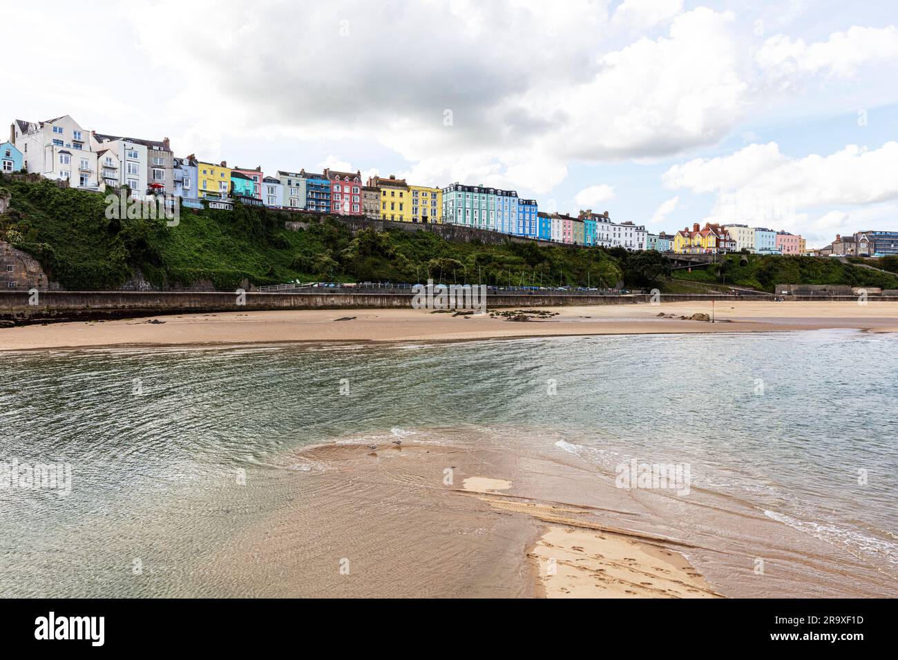 Tenby harbour and town houses overlooking, Tenby, Pembrokeshire, Wales ...