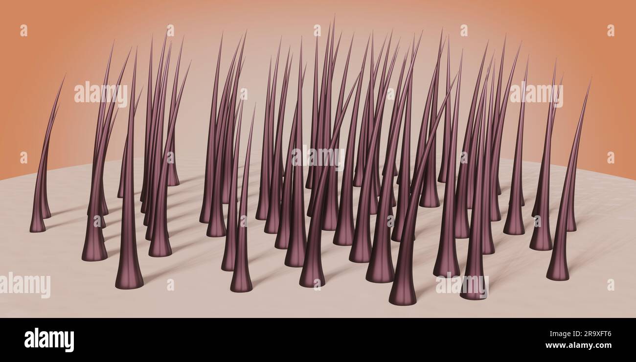 Healthy Hair Under Microscope