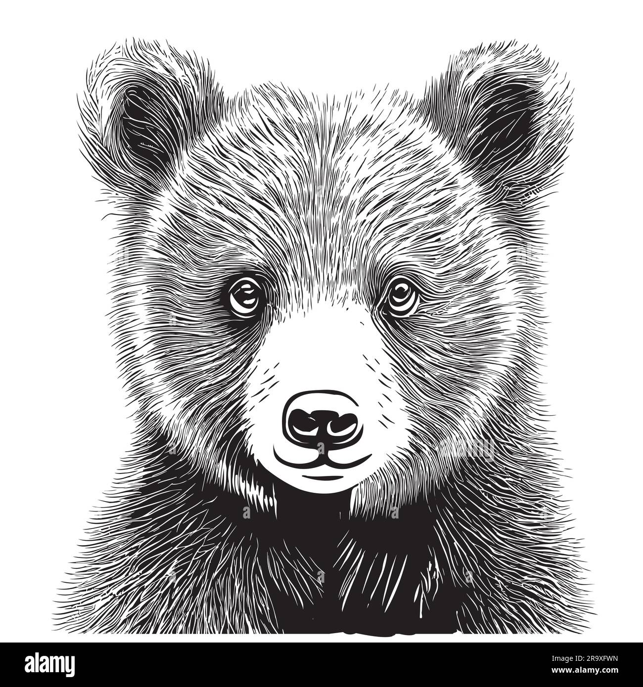 Black Bear Face Clip Art 7356