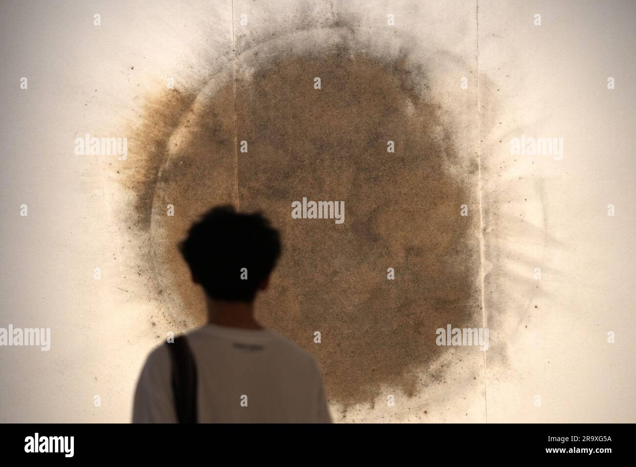 Tokyo, Japan. 29th June, 2023. A person visits an exhibition of Chinese ...