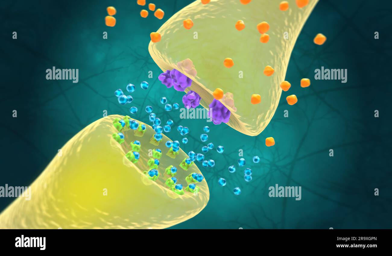 The Psychomotor Stimulants and Neurotransmitters 3D rendering Stock ...