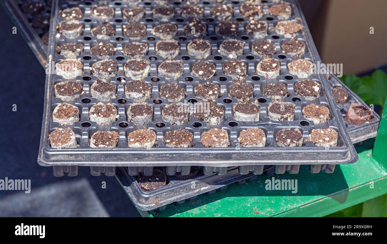 Tray preparation hi-res stock photography and images - Alamy