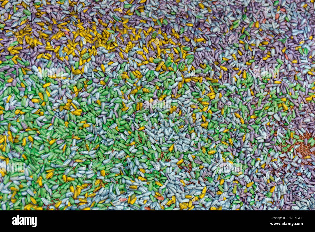 Colour Sunflower Seeds Natural Texture Farm Background Stock Photo - Alamy