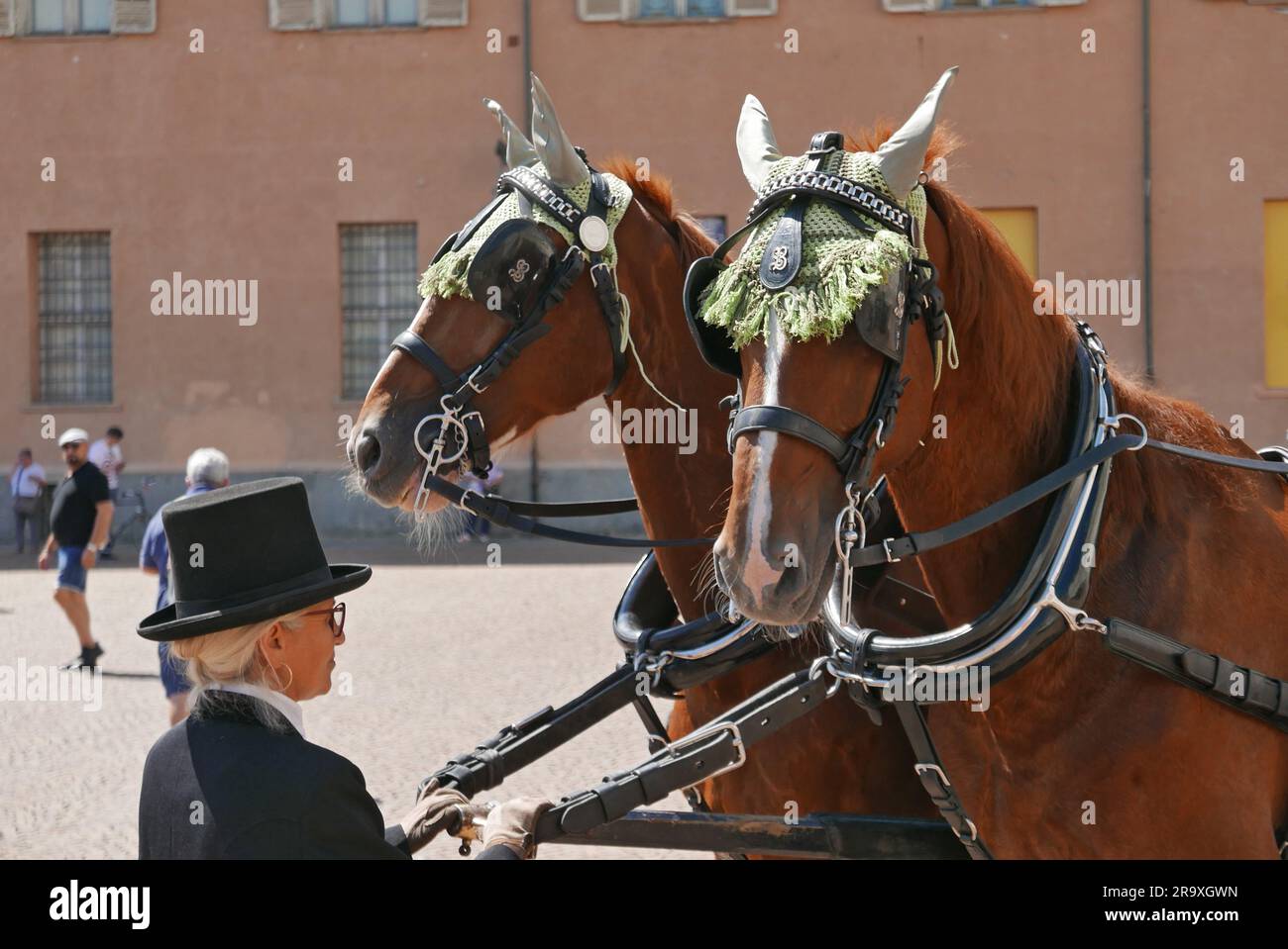 TURIN, ITALY - JUNE 24, 2023: Historical horse carriage parade in the ...
