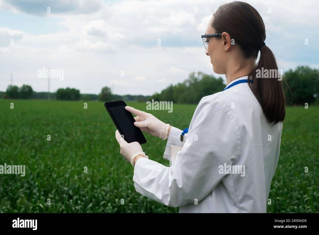 Woman agronomist working in wheat hi-res stock photography and images - Alamy