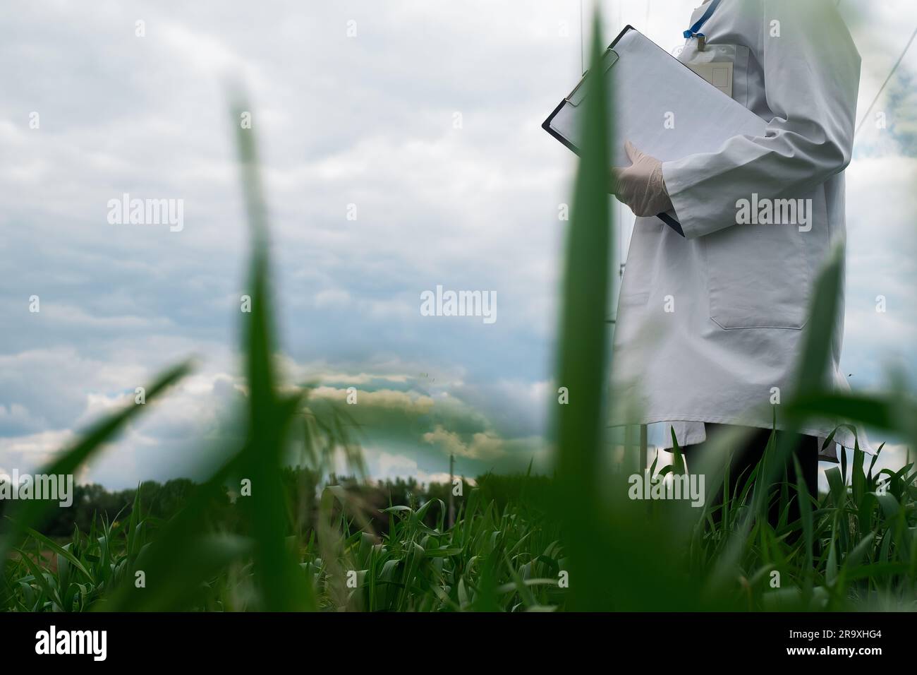 Geneticists, biologists and scientists study the genetic structure of ...