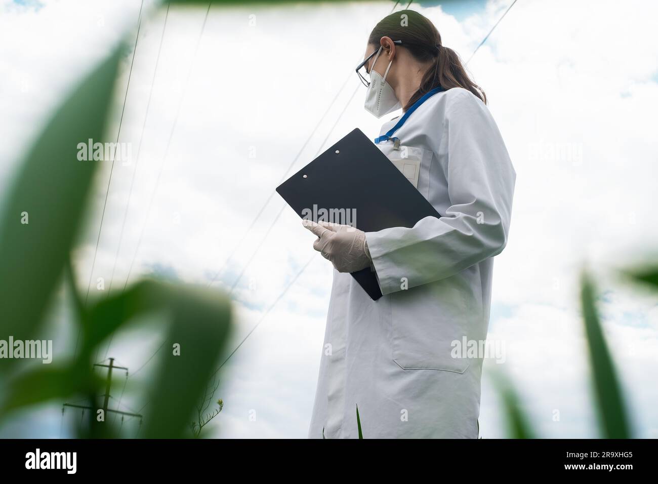 Geneticists, biologists and scientists study the genetic structure of ...