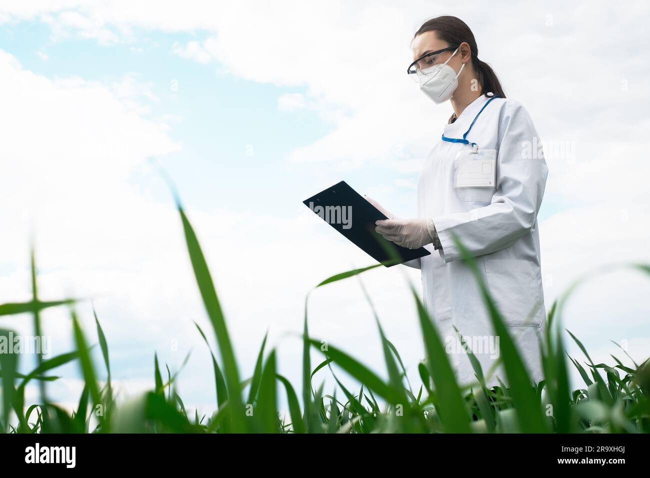 Geneticists, biologists and scientists study the genetic structure of ...