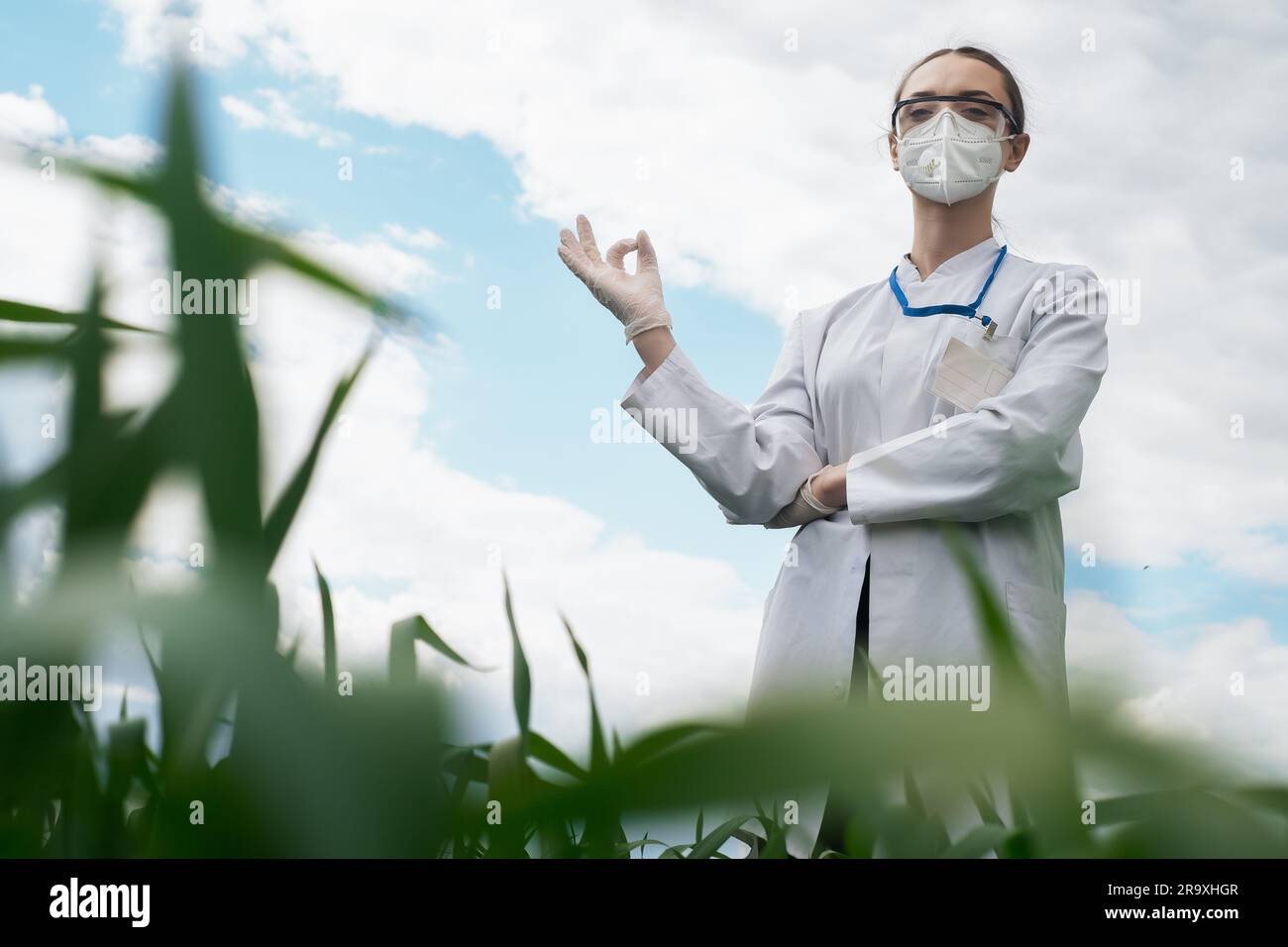 Geneticists, biologists and scientists study the genetic structure of ...