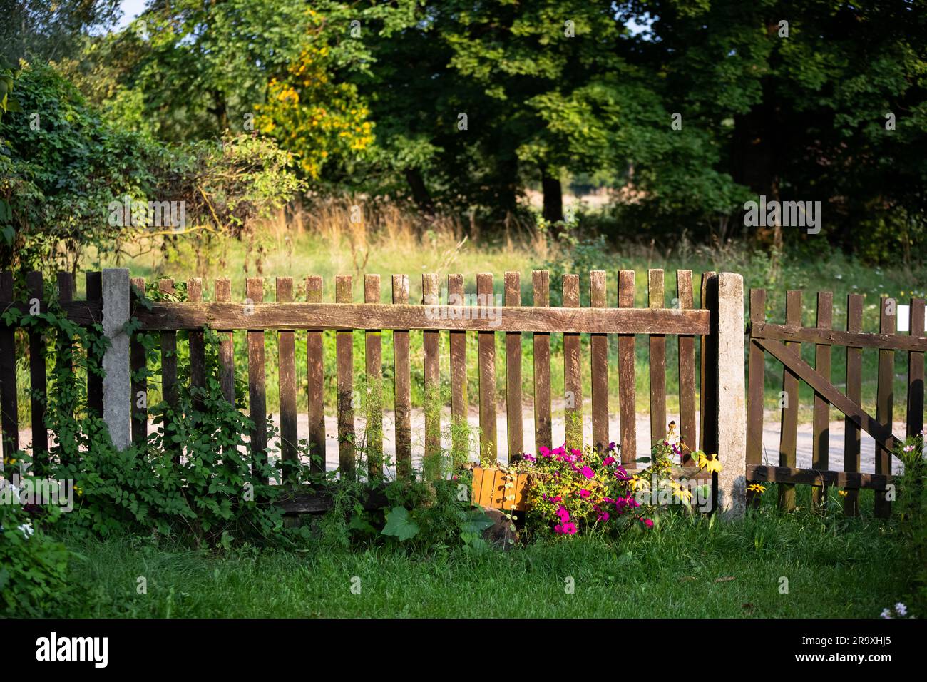Wooden old fence, composed of many rails in the sunshine Stock Photo ...