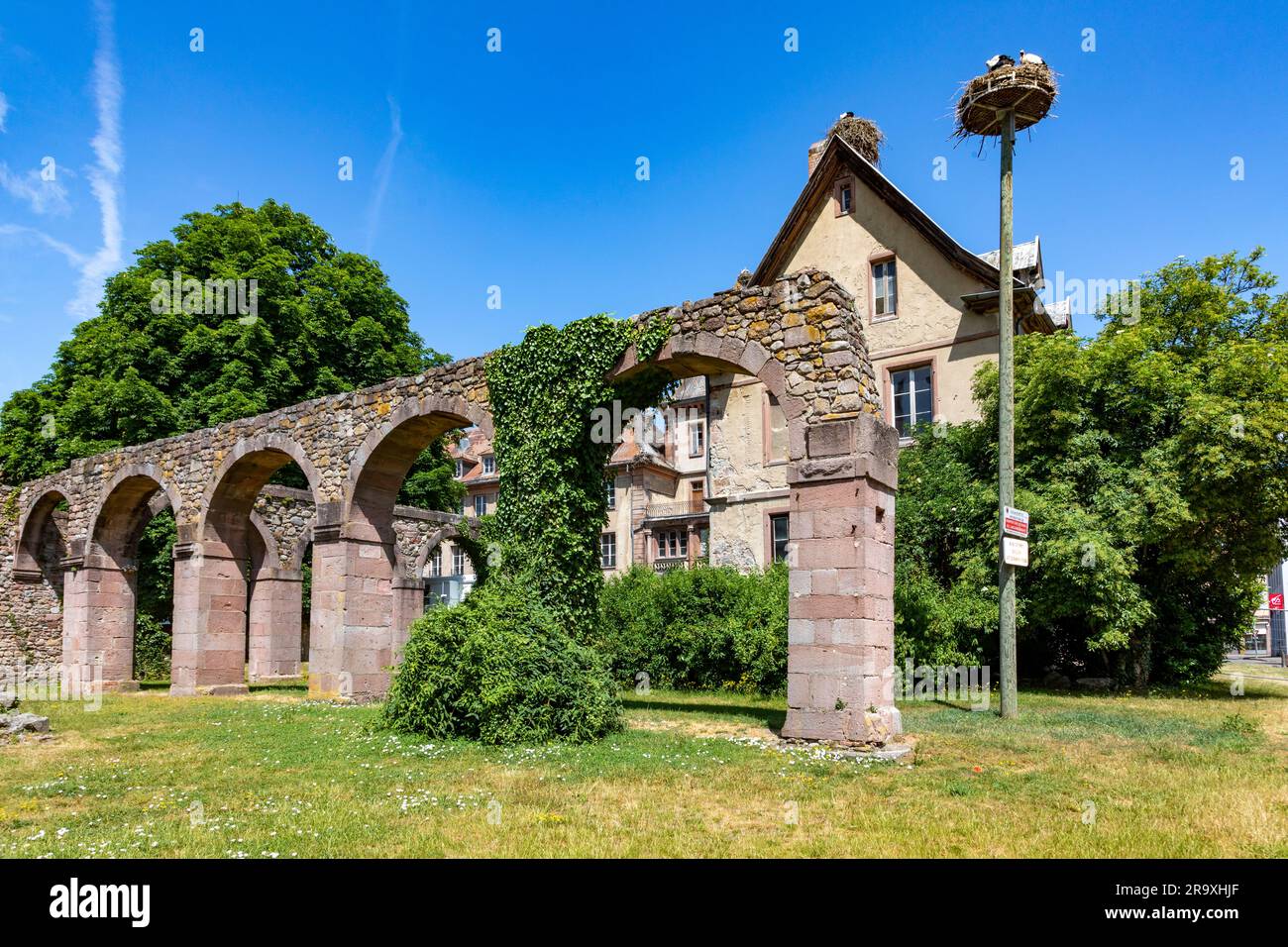 Abbey of munster alsace hi-res stock photography and images - Alamy