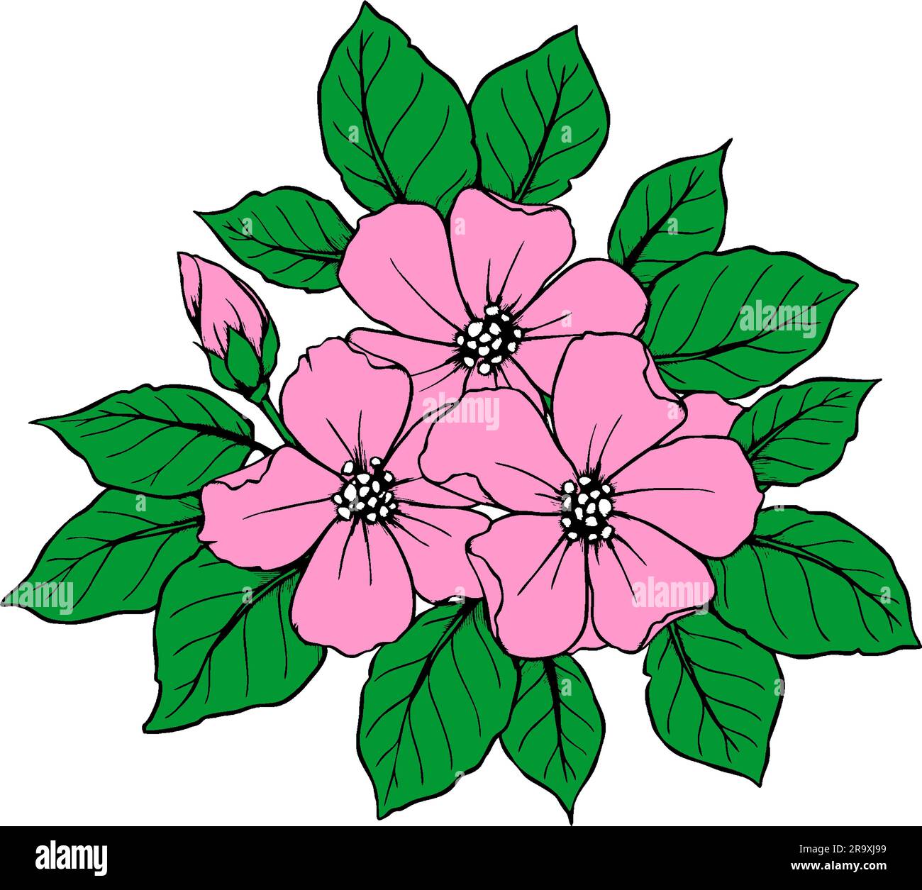 drawing of a branch of pink flowers with a black outline on a white ...