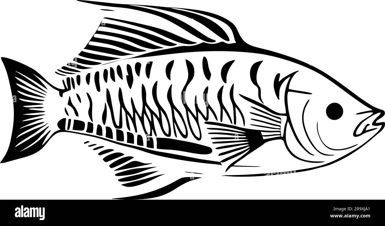 Clipart animal outline hi-res stock photography and images - Alamy