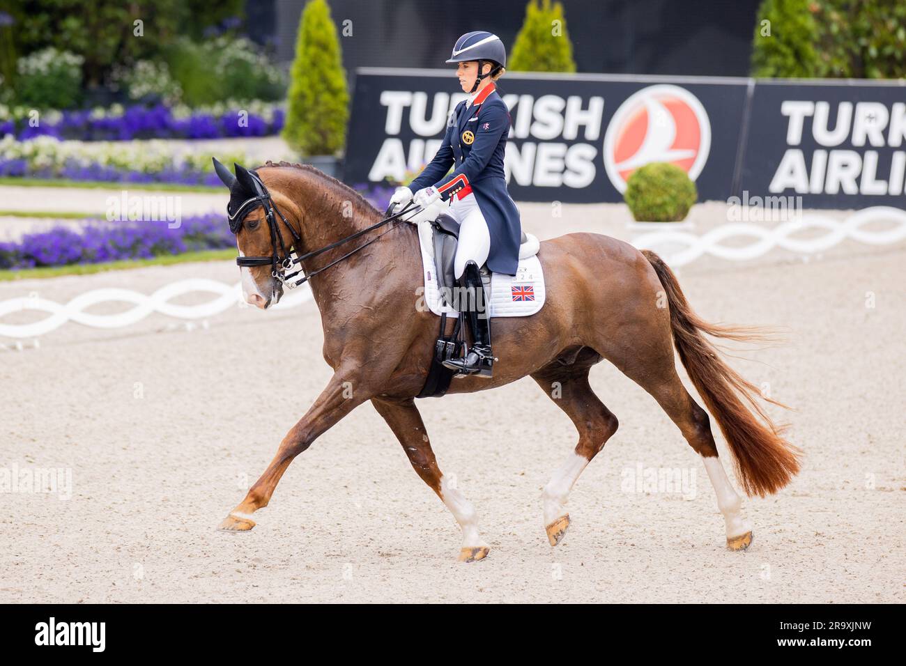 Aachen, Germany. 29th June, 2023. Equestrian sport, dressage: CHIO ...