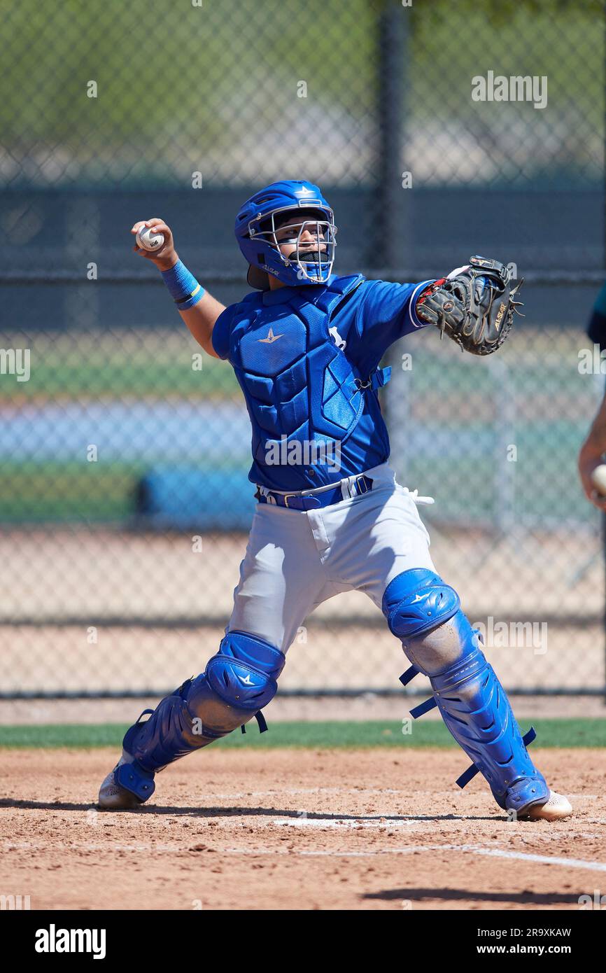 Los Angeles Dodgers catcher Carlos Rojas (81) during an extended spring ...