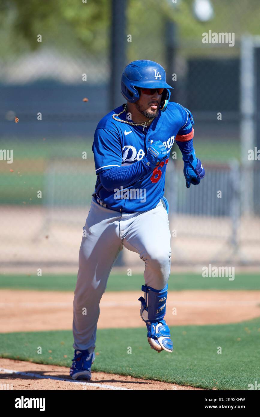 Jefferson Valladares (67) of the Los Angeles Dodgers during an extended ...
