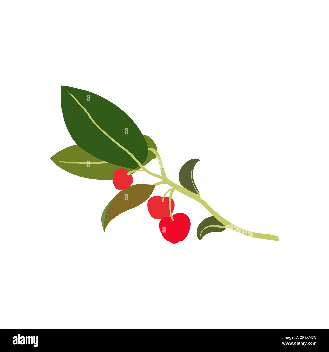 Herb healing Stock Vector Images - Alamy