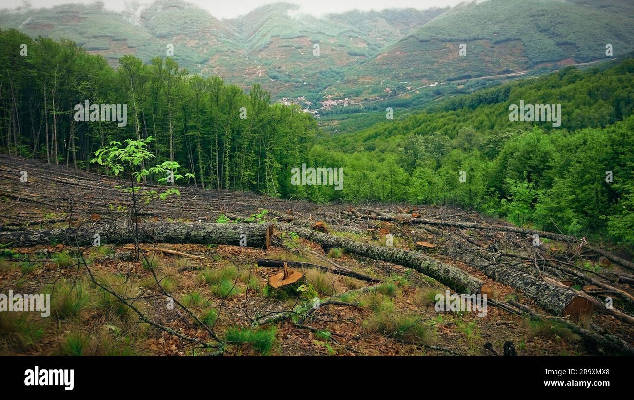 Jerte river valley hi-res stock photography and images - Alamy