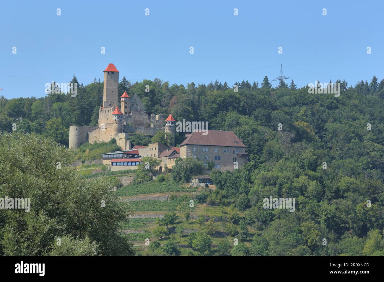 Hornberg Castle built 11th century with River Neckar in Neckarzimmern ...