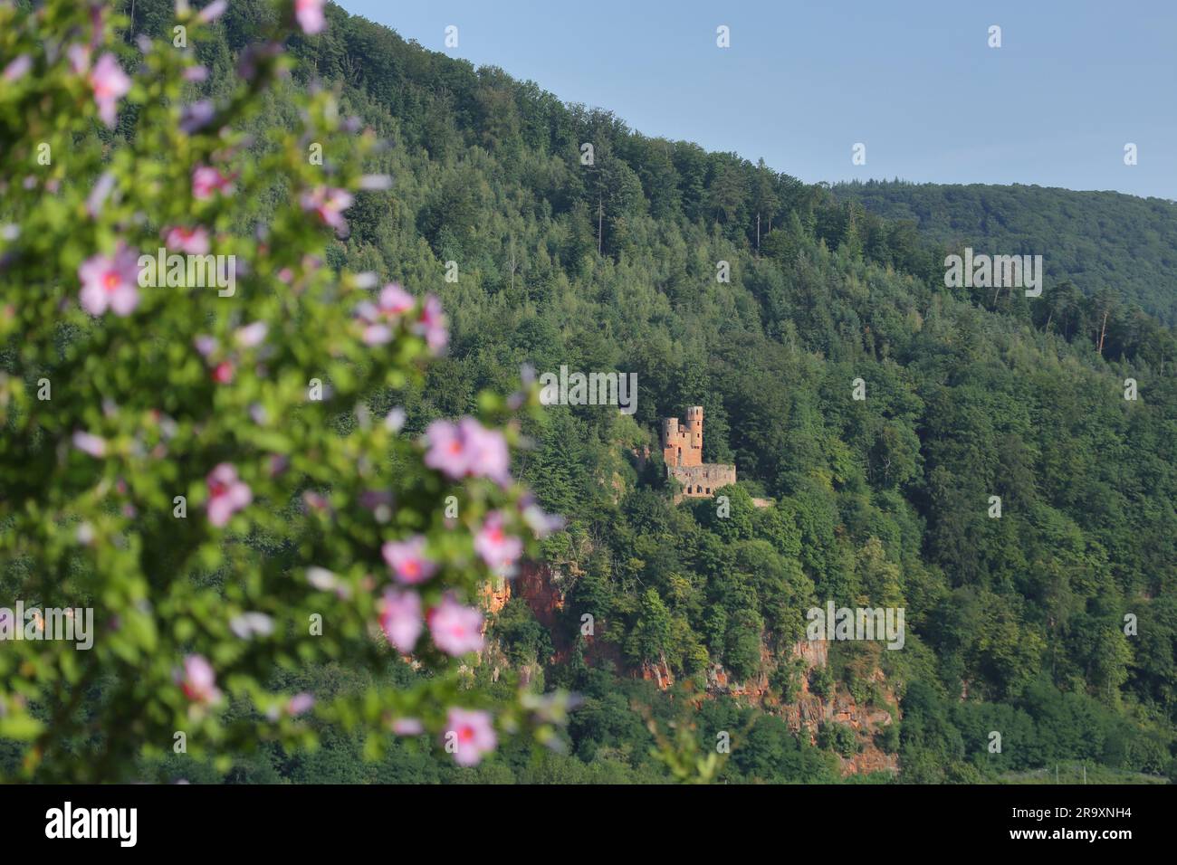 3334bpsp hi-res stock photography and images - Alamy