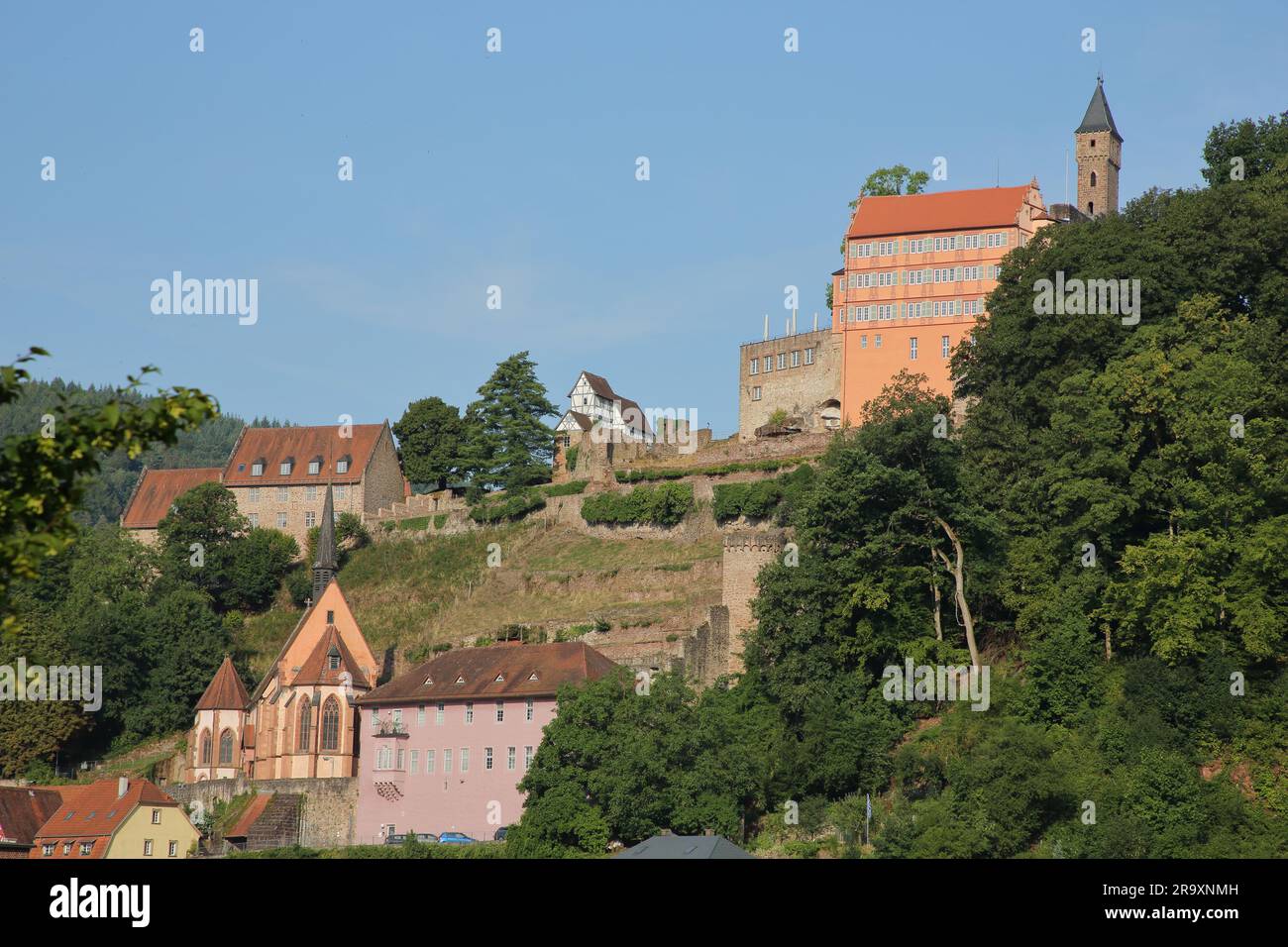 View of historic castle and monastery church of the Annunciation ...