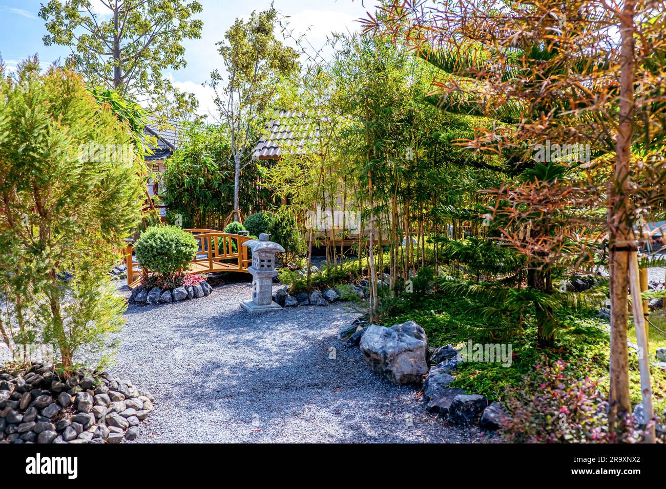 Traditional zen Japanese garden landscape design decoration with tree ...