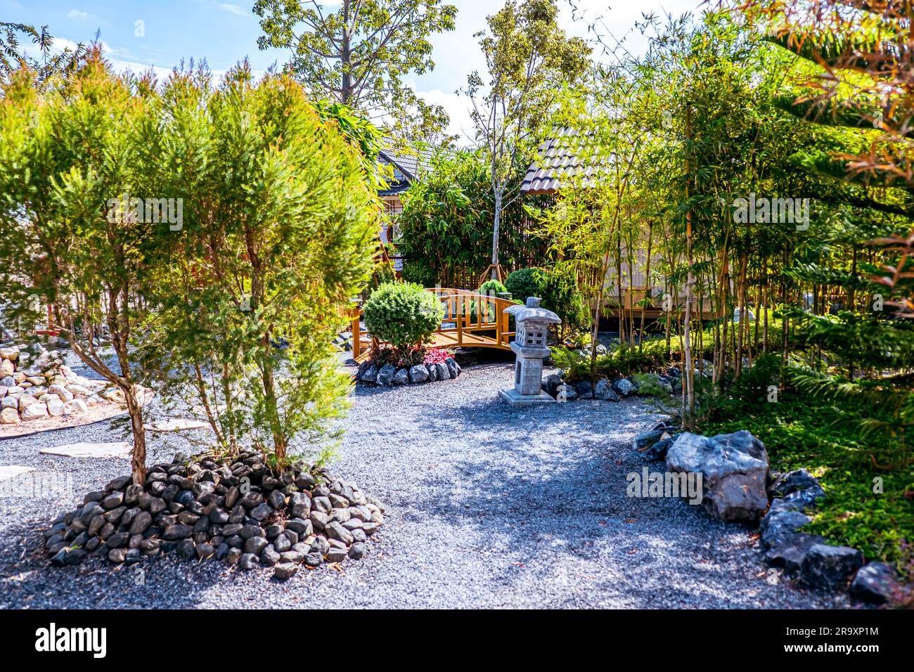 Traditional zen Japanese garden landscape design decoration with tree ...